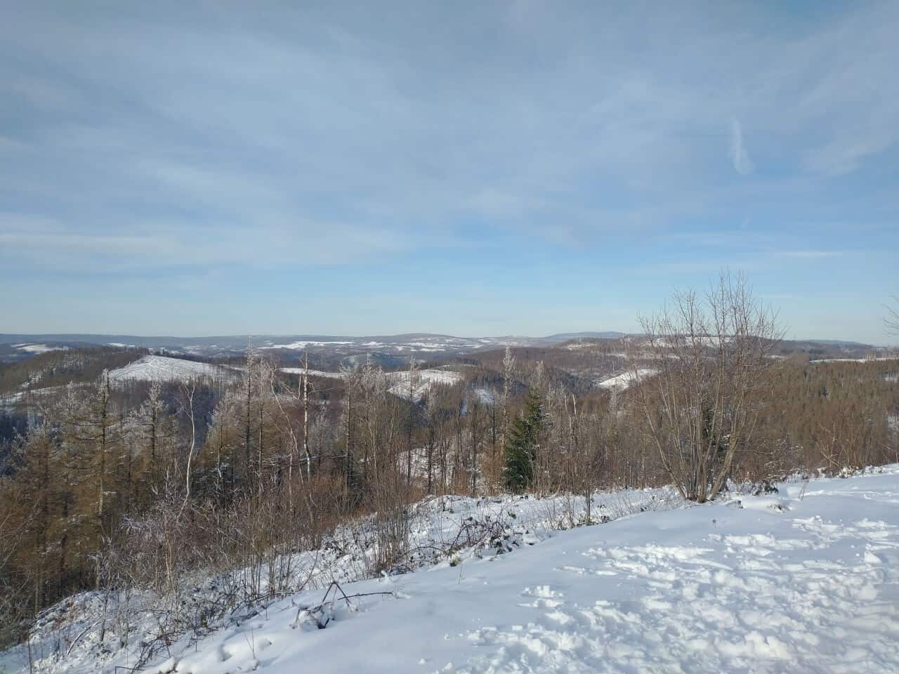 Der Ravensberg - ein erloschener Vulkan am Rande des Harz
